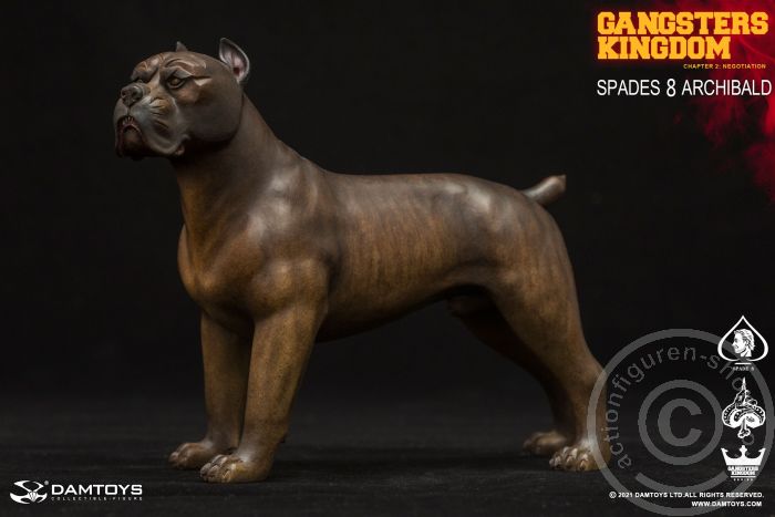Gangsters Kingdom - SPADE 8 - DOG Casro (tiger stripe) | DAMGK024sB