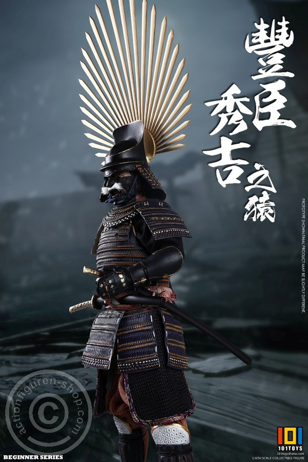 Toyotomi Hideyoshi (EXCLUSIVE) | 101KN006