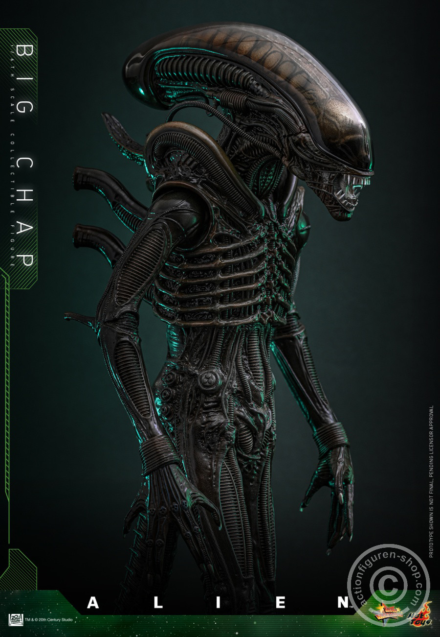 Alien - 1/6th scale Big Chap Collectible Figure - MMS826 | 622556