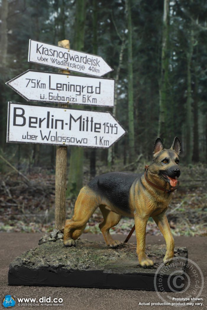 WWII German Shepherd Dog & Road Signs Set | E60072