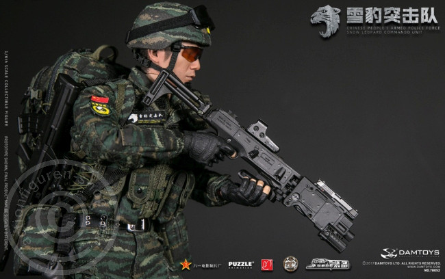China People Armed Police Force - Snow Leopard Commando Member | DA78052