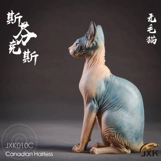 Canadian Hairless Cat - in 1:6 scale | JxK010C