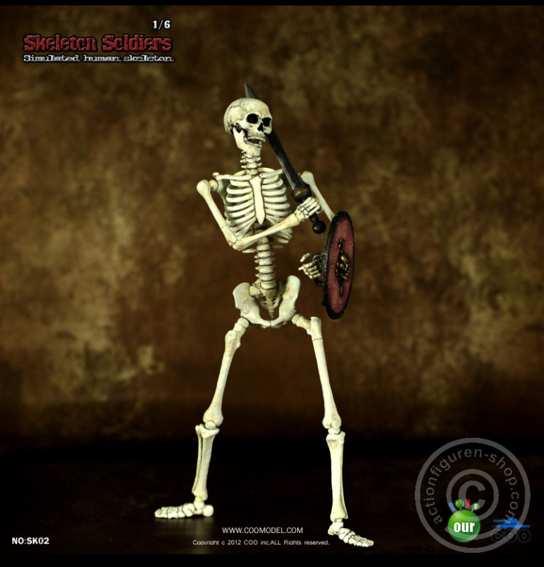 Skeleton Soldier - Human Skeleton in 1:6 | COO-SK02