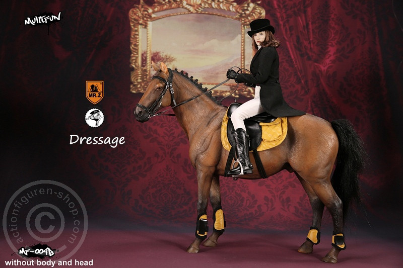 Dressage Set B | MRZ004B