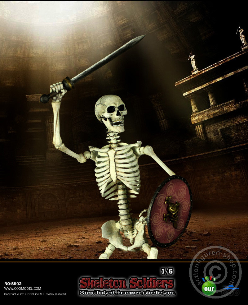 Skeleton Soldier - Human Skeleton in 1:6 | COO-SK02