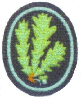 Jäger-Abzeichen der Wehrmacht | ZS91