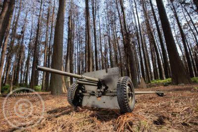 M3 37mm Anti-Tank-Gun - PAK - 1/6 scale | Roc001M3