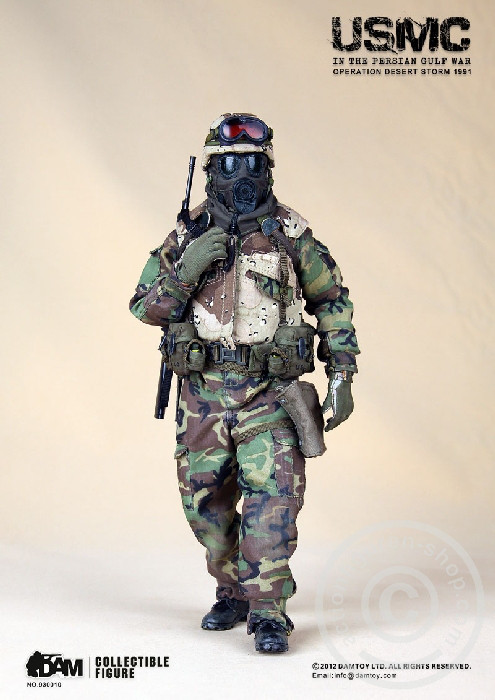 USMC Operation Desert Storm 1991 | DA93010